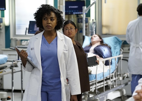'Grey's Anatomy' Season 13 Recap: Another Doctor Bid Farewell in Season ...